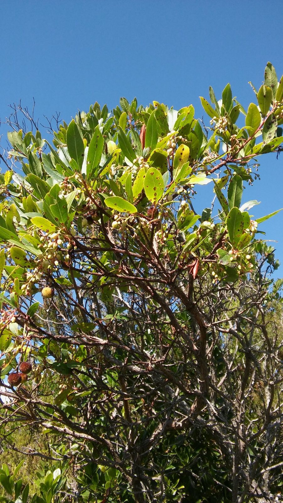 Δείτε μοναδικές εικόνες από όλη την Εύβοια! | eVima | Ειδήσεις Εύβοια