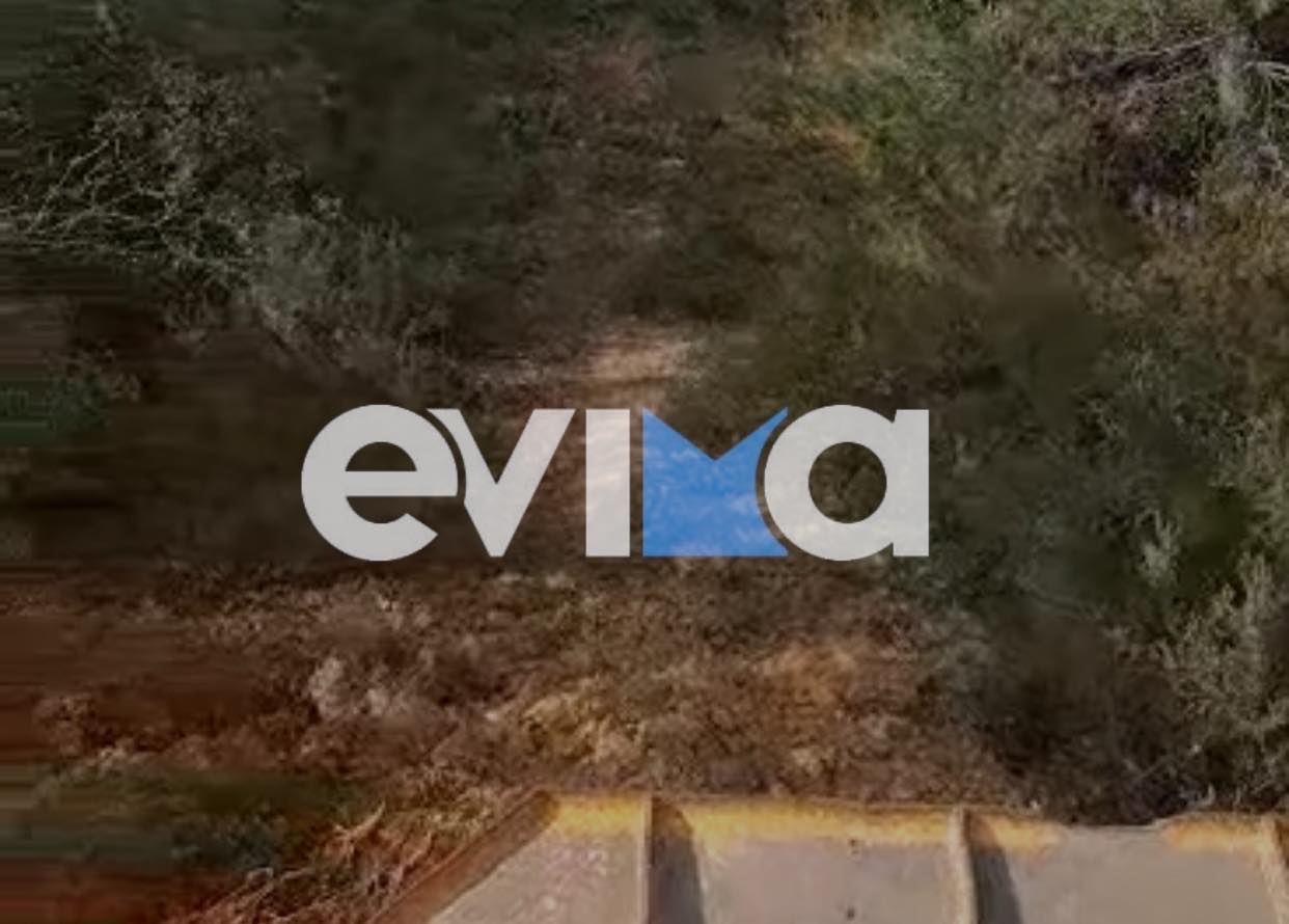 Αυτή είναι η προεδρίνα στην Εύβοια που δεν....παίζεται! Δείτε τι έκανε | eVima | Ειδήσεις Εύβοια