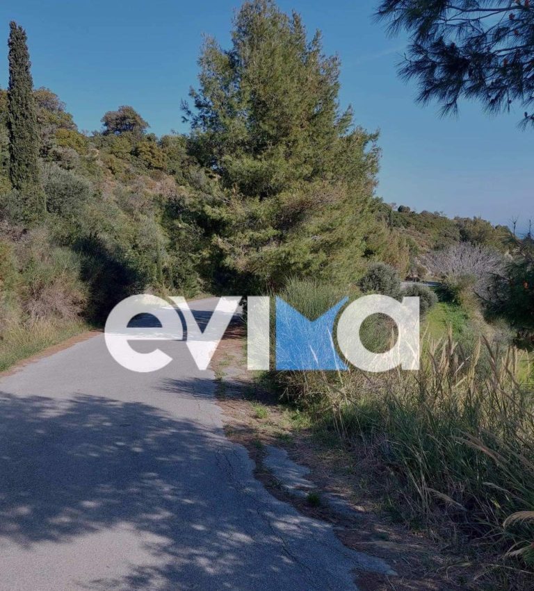 Εύβοια: Σε αυτό το χωριό έγιναν όλοι ένα και καθάρισαν το δρόμο προς ...