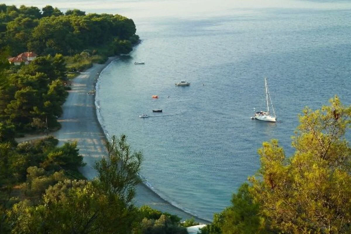 Η παραλία της Εύβοιας με την... άγρια ομορφιά | eVima | Ειδήσεις Εύβοια