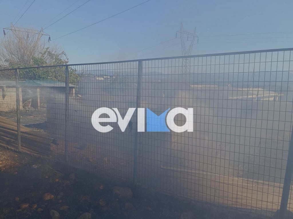 Φωτιά σε βιομηχανική περιοχή της Εύβοιας