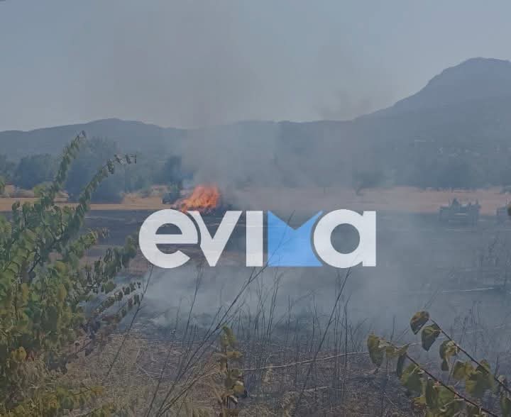 Πού έχει φωτιά τώρα στην Εύβοια – Δείτε live